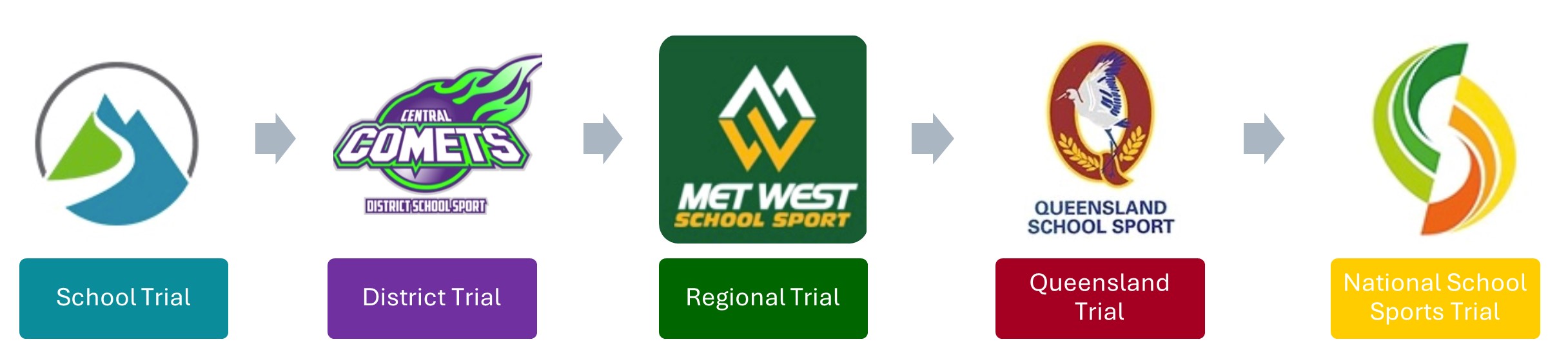 Representative Team Sport Pathway
